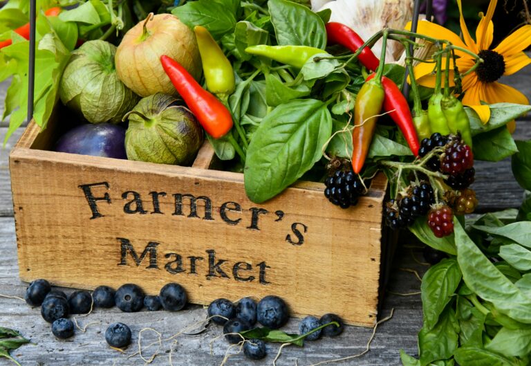 10 Ways To Save Money On Groceries in 2024 - Kays Kitchen Co